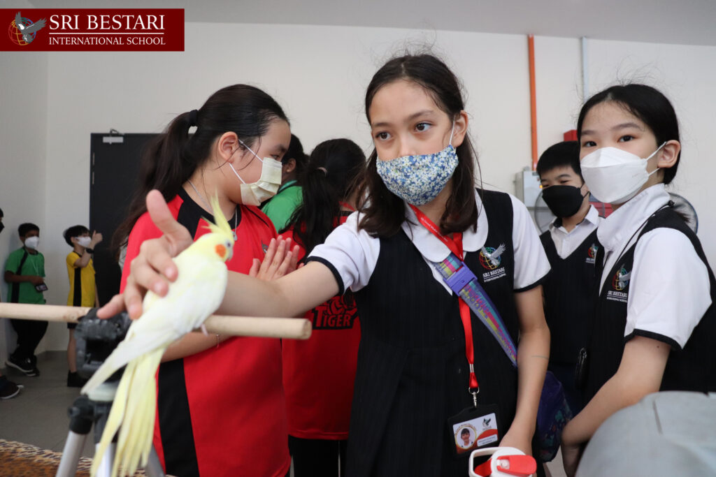 International Primary School Malaysia | Primary Curriculum